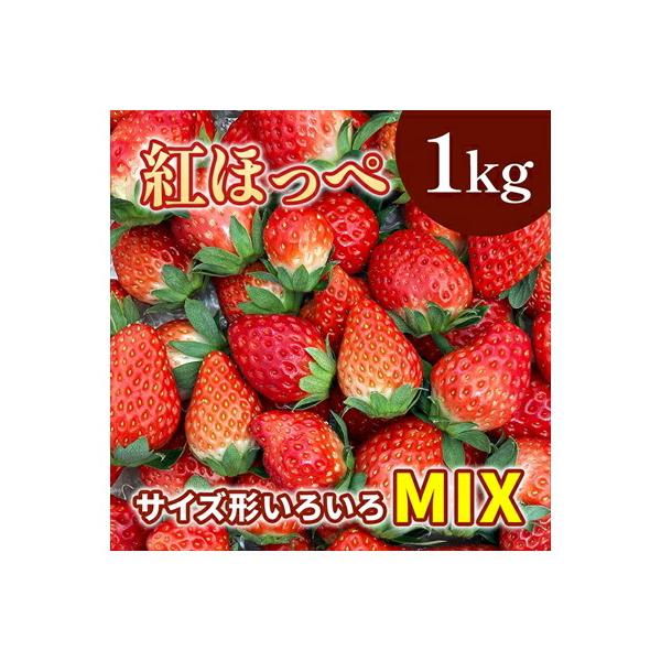 紅ほっぺ MIX (サイズ、形いろいろ） 1kg原産国／製造国 日本総個数 1総重量 1000gいちごの品種 紅ほっぺ産地（都道府県） 大阪賞味期限 最低保証：5日