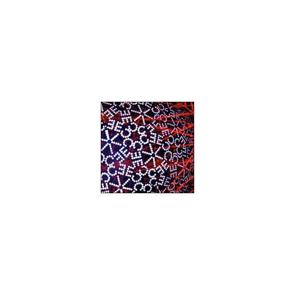 国岡真由美(vo)と宮内和之(g)によるユニット。メンバー自身の選曲による、未発表テイクを含む2枚目のベスト・アルバムで、全曲ともリマスタリングが施されている。さまざまな音楽的要素をセンスよく仕立てる技がどの曲にも満載。入門編としてもOK。...