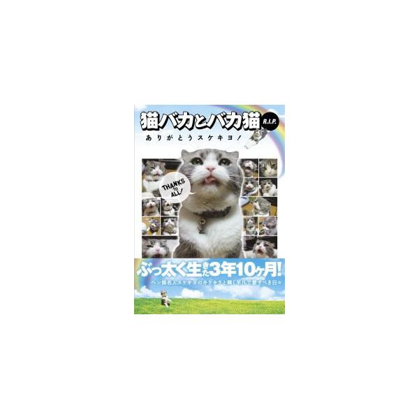 ぶっ太く生きた３年１０ケ月にありがとう！　突然死という形で若くして逝ってしまった、ブログでも人気のヘン顔名人猫「スケキヨ」。キラキラと輝いていた平凡で愛すべき日々を写真で振り返る。■カテゴリ：中古本■ジャンル：女性・生活・コンピュータ 猫の...