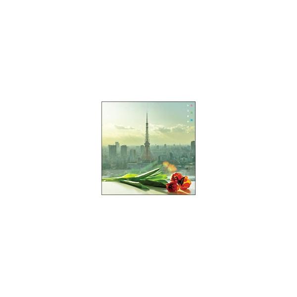 ■カテゴリ：中古CD■ジャンル：ジャパニーズポップス 国内のアーティスト■メーカー：エイベックス・エンタテインメント■品番：AVCO36032■発売日：2010/03/03■カナ：レミオロメン カチョウフウゲツ■ENG：