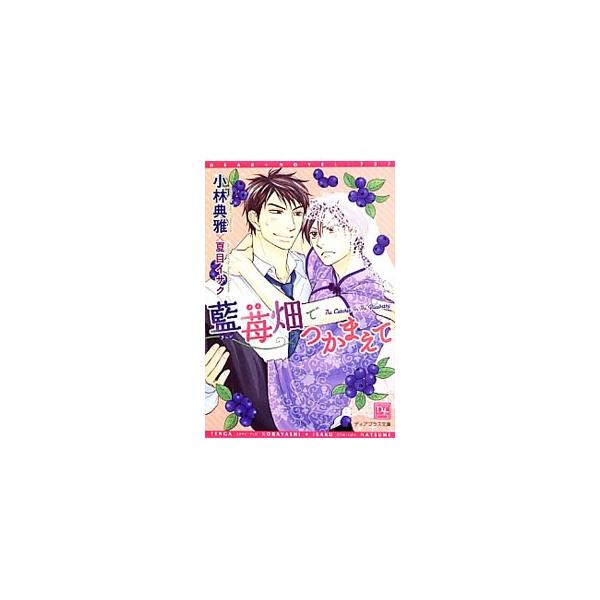 ■カテゴリ：中古本■ジャンル：文芸 ボーイズラブ■出版社：新書館■出版社シリーズ：新書館ディアプラス文庫■本のサイズ：文庫■発売日：2013/06/25■カナ：ランメイバタケデツカマエテ コバヤシテンガ