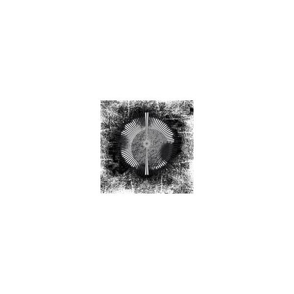 ■カテゴリ：中古CD■ジャンル：海外のロック＆ポップス 海外のアーティスト■メーカー：その他発売会社■品番：MGNF1026■発売日：2015/05/20■カナ：コーナーズ マックスドアウトオンディストラクションズ■ENG：CORNERS ...