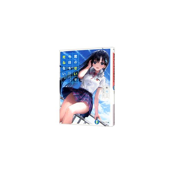 ■カテゴリ：中古本■ジャンル：文芸 ライトノベル　男性向け■出版社：ＫＡＤＯＫＡＷＡ■出版社シリーズ：富士見ファンタジア文庫■本のサイズ：文庫■発売日：2021/08/20■カナ：キミノセイデキョウモシネナイ アメツキ