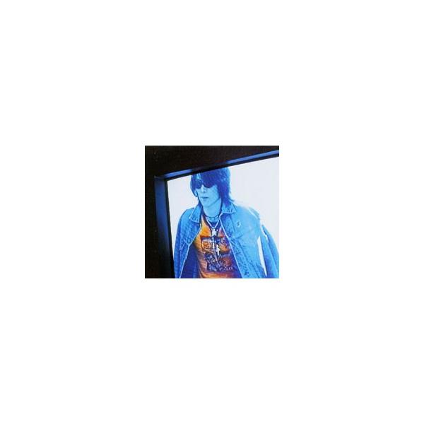 ファン待望の1stアルバムは、バンド・コンセプトに基づいた作品とリミックス集から成るミニ・アルバム2枚組的な作品。デジタル感覚に導かれた今日的作品だが、ヴォーカリストとしての力量は自らのセンスとアルバムの完成度に及ばず。次の展開に期待。■カ...