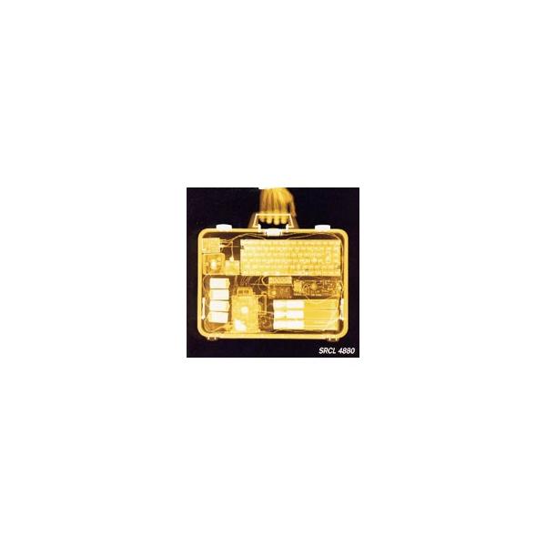 約1年8ヵ月ぶりのオリジナル・アルバム。ハードさとポップさを兼ね備える彼らが今回は2枚組で登場。いろんな“シャム”がぎっしり詰まったまるでベスト・アルバムともいえる内容。■カテゴリ：中古CD■ジャンル：ジャパニーズポップス 国内のアーティス...