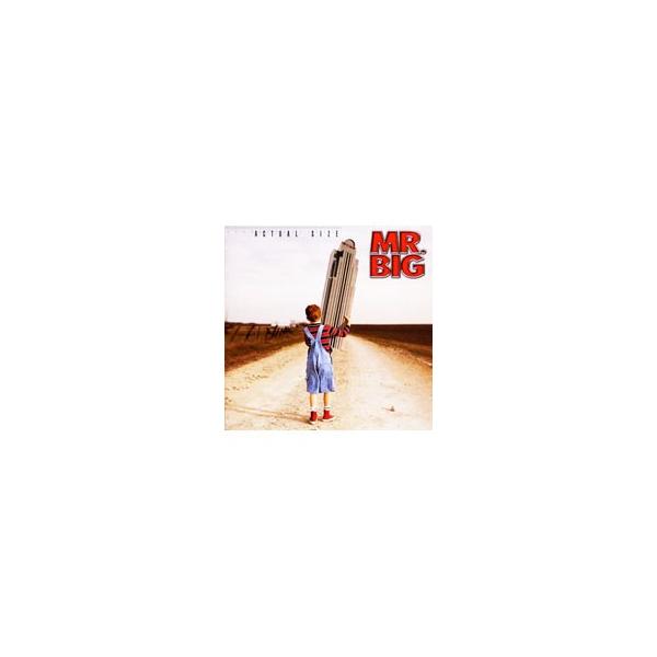 通算6枚目となる『GET OVER IT』に続く新生MR．BIGの第2弾オリジナル・アルバム。数々のヒットでロックの歴史を築き上げてきたリッチー・ジトーを迎えた超強力盤。■カテゴリ：中古CD■ジャンル：海外のロック＆ポップス 海外のアーティ...