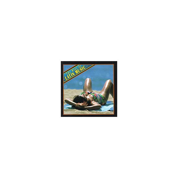 エキゾチスムとリズム感を合わせ持つ音楽がルンバに代表されるラテン・ミュージックだろう。このCD収録の24曲のスタンダードも、その大前提に反することなく本来はどれも“踊るための音楽”。この少しばかり猥雑で生命観にあふれたサウンドを楽しもう。■...