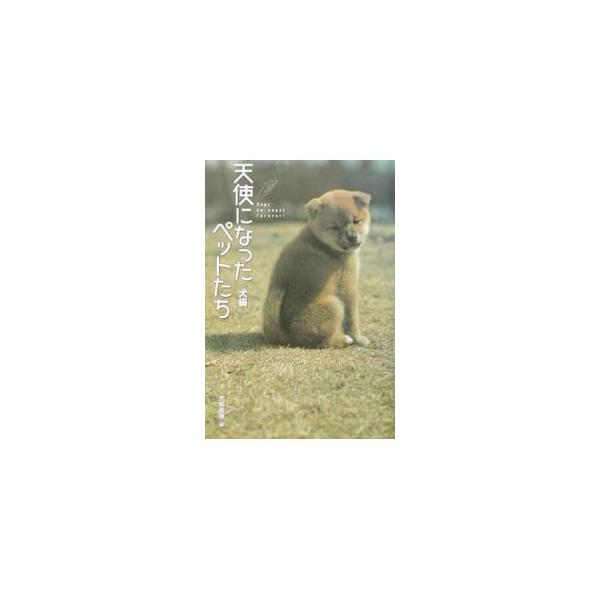 ■カテゴリ：中古本■ジャンル：女性・生活・コンピュータ 犬の本■出版社：大和書房■出版社シリーズ：■本のサイズ：単行本■発売日：2002/04/01■カナ：テンシニナッタペットタチイヌヘン ダイワショボウ