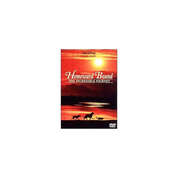 ■カテゴリ：中古DVD・ブルーレイ■商品情報：デュエイン・ダンハム【監督】 ロバート・ヘイズ【出演】 キム・グレイスト【出演】 ヴェロニカ・ローレン【出演】■ジャンル：洋画■メーカー：ブエナ　ビスタ■品番：VWDS3134■発売日：2002...