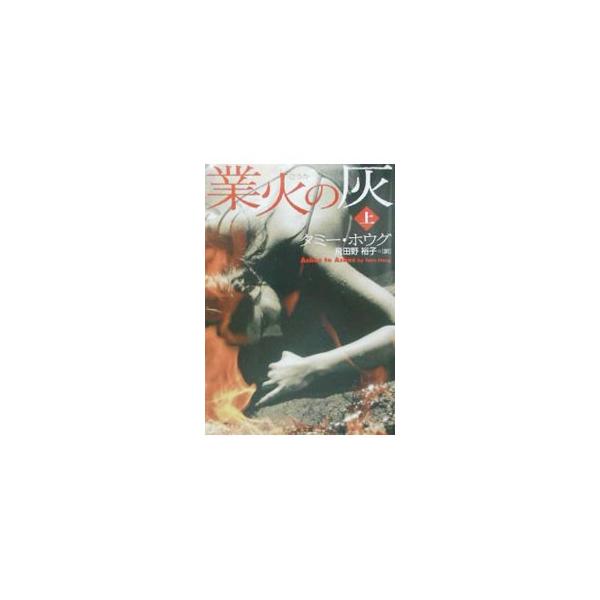 ■カテゴリ：中古本■ジャンル：文芸 小説一般■出版社：二見書房■出版社シリーズ：二見文庫■本のサイズ：文庫■発売日：2002/08/25■カナ：ゴウカノハイ１ タミーホウグ