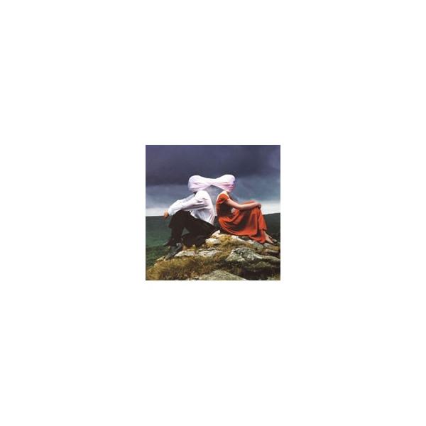 感傷的なメロディとハードなギター・ワークと絶叫を交えた歌。米国で大流行中のいわゆる“スクリーモ”スタイルを吸収した英国サウス・ウェールズ出身5人組デビュー作。叙情・激烈を併せ持つが混沌はなく、端正なアレンジとハーモニーの魅力が前面に出るのが...