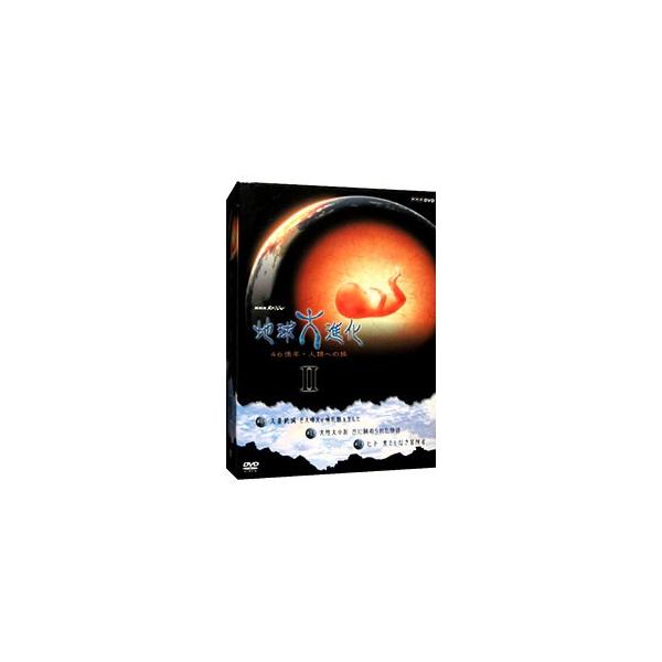 ■カテゴリ：中古DVD・ブルーレイ■商品情報：その他   ■ジャンル：その他■メーカー：ＮＨＫソフトウェア■品番：NSDX8124■発売日：2005/02/25■字幕：(1)日本語■カナ：エヌエイチケースペシャルチキュウダイシンカ４６オクネ...