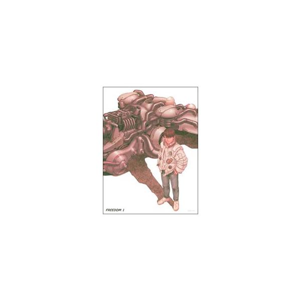 ■カテゴリ：中古DVD・ブルーレイ■商品情報：森田修平【監督】  浪川大輔【声の出演】 森久保祥太郎【声の出演】■ジャンル：アニメ■メーカー：バンダイビジュアル■品番：BCBA2741■発売日：2006/11/24■カナ：フリーダム０１