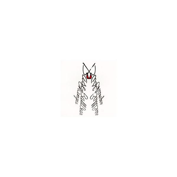 ■カテゴリ：中古CD■ジャンル：ジャパニーズポップス 国内のアーティスト■メーカー：ＥＭＩミュージック・ジャパン■品番：TOCT22292■発売日：2008/05/08■カナ：ベースボールベアー チェンジズ■ENG：BASE BALL BE...