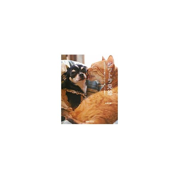 いつもおにぃちゃんのあとを追っている「チワワ」の凛と、めんどうくさそうな顔をしながらも、毎日せっせと妹の毛づくろいをしている「トラ猫」の正宗にぃちゃん。２匹のシンプルで幸せな日常を切り取った写真が満載。■カテゴリ：中古本■ジャンル：女性・生...