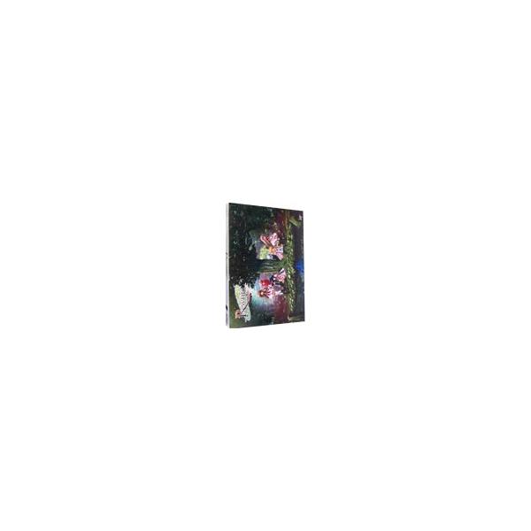 ■カテゴリ：中古ゲームソフト■機種：ＰＣゲーム■ジャンル：アドベンチャー■メーカー：ＫＥＹ■品番：4933032006558■発売日：2011/06/24■カナ：リライトショカイゲンテイバン
