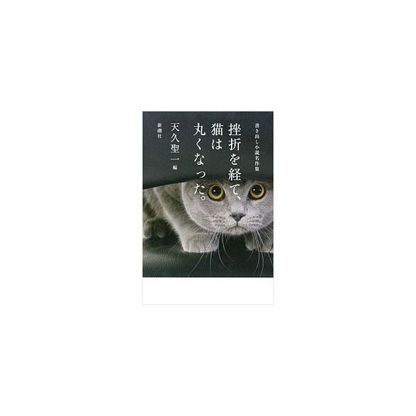 ミステリーツアーはガイドの失踪で幕を開けた−。書かれているのは冒頭だけ。続きは読み手次第の新しい文学、「書き出し小説」。一瞬で読める、自由で楽しい４１６の物語を収録。『デイリーポータルＺ』連載を加筆・再構成。■カテゴリ：中古本■ジャンル：産...