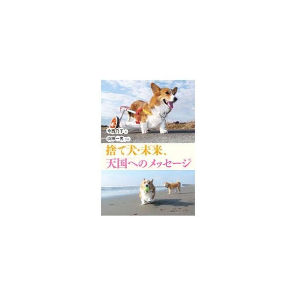 まだ子犬だったわたしは、原っぱに捨てられていた。でも、「とうちゃん、かあちゃん」に引きとられて、幸せな暮らしが始まり…。捨て犬・未来の視点で、命の輝きや、命を預かる大切さを伝える。■カテゴリ：中古本■ジャンル：女性・生活・コンピュータ 犬の...