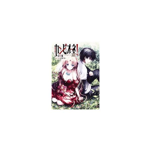 ■カテゴリ：中古本■ジャンル：文芸 ライトノベル　男性向け■出版社：集英社■出版社シリーズ：ダッシュエックス文庫■本のサイズ：文庫■発売日：2017/11/22■カナ：カンピオーネ２１サイゴノタタカイ タケヅキジョウ