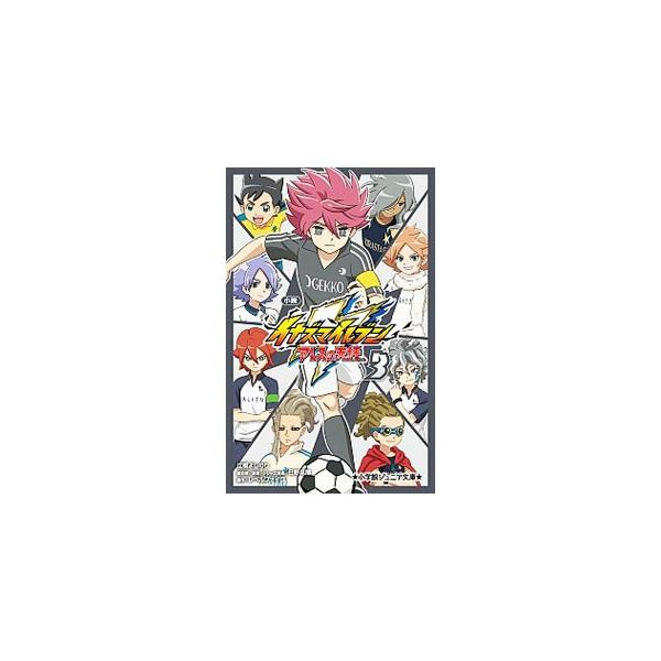 フットボールフロンティア決勝大会に駒を進めた雷門イレブン。全国から集う強豪を相手に、続々と生み出される必殺技が炸裂！　「アレスの天秤」に復讐を誓う星章学園の灰崎は、王帝月ノ宮と戦うが…。ＴＶアニメのノベライズ。■カテゴリ：中古本■ジャンル：...