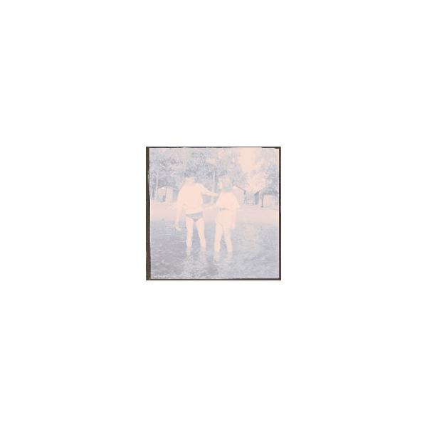 ■カテゴリ：中古CD■ジャンル：ジャパニーズポップス 国内のアーティスト■メーカー：ｅｃｈｏｈｏｕｓｅ　ｒｅｃｏｒｄｓ■品番：ECHR002■発売日：2020/09/02■カナ：アッド ノットイナフ■ENG：ADD NOT ENOUGH