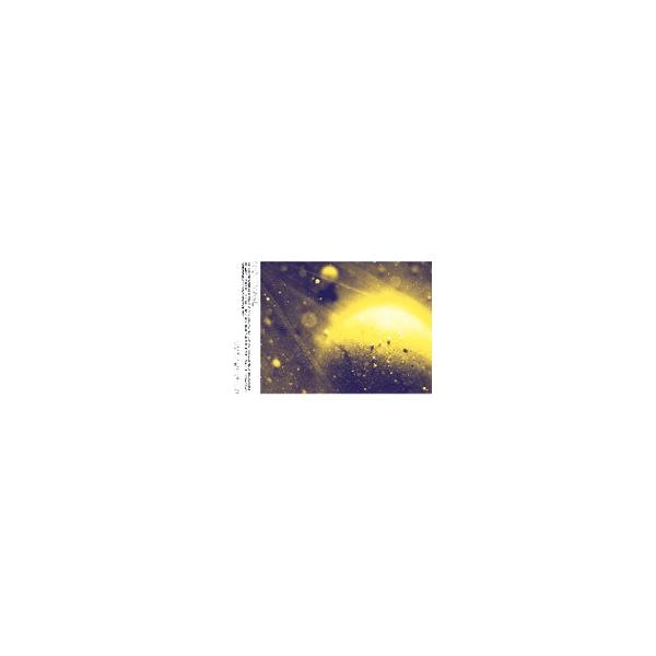 ■カテゴリ：中古CD■ジャンル：ジャパニーズポップス 国内のアーティスト■メーカー：ｌｉｔｔｌｅ　ＨＥＡＲＴＳ．■品番：LHMH1013■発売日：2021/03/03■カナ：ナイトメア クライフォーザムーンタイプビー■ENG：NIGHTMA...