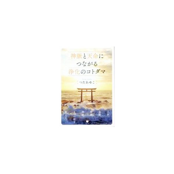 書くことで自分を浄化する「書き下ろし浄化ワーク」とともに、人脈、金脈、時脈と、神様とのご縁である神脈を整える方法を具体的に紹介する。スピリチュアルな力が強い人に向けて、見えない世界の活かし方も掲載する。■カテゴリ：中古本■ジャンル：産業・学...