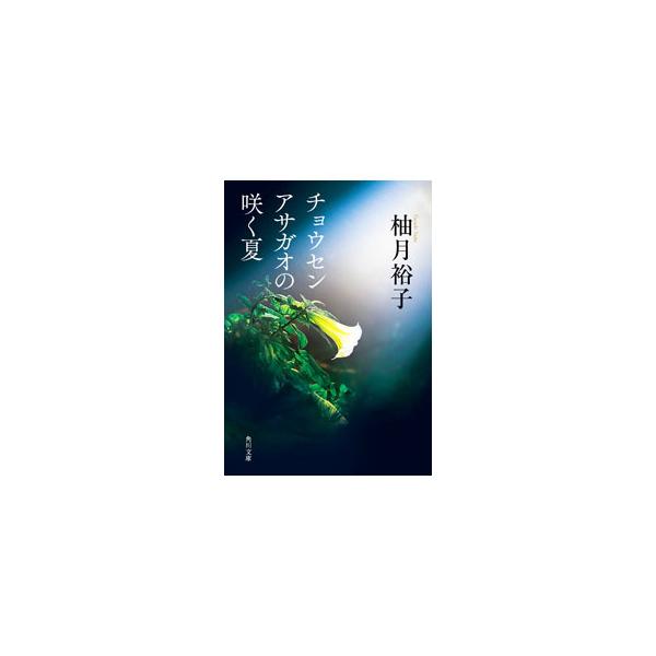 ミステリー、ホラー、サスペンス、時代、ユーモアなど、デビュー以降の短編をまとめた、柚月裕子の初オムニバス短編集を文庫化。表題作をはじめ「サクラ・サクラ」、佐方貞人シリーズスピンオフ「ヒーロー」などを収録。■カテゴリ：中古本■ジャンル：文芸 ...