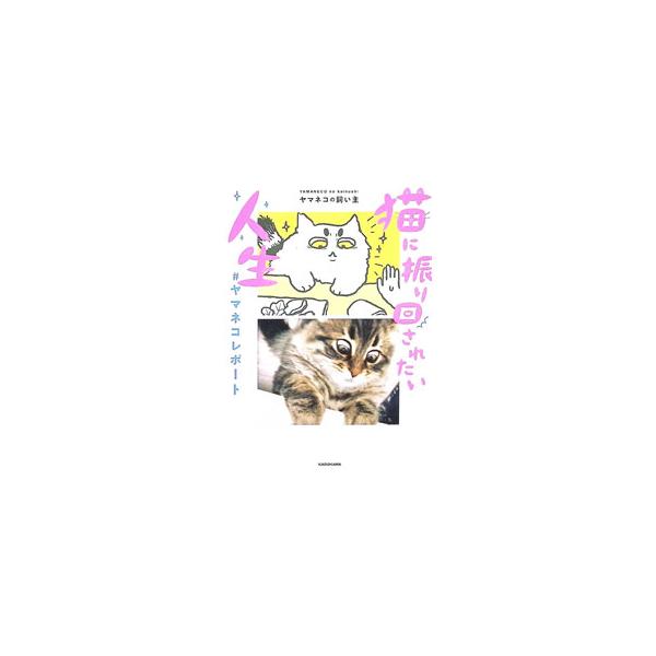 表情がちょっとゆたかで甘え上手なサイベリアン・ヤマネコと、軽い猫アレルギーになった猫好きのグラフィックデザイナーの、相思相愛の日々を描いたコミック＆フォトエッセイ。描き下ろし「ねこ部屋ＤＩＹ」も収録。■カテゴリ：中古本■ジャンル：女性・生活...
