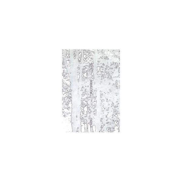 ■カテゴリ：中古本■ジャンル：料理・趣味・児童 詩歌・和歌・俳句■出版社：書肆ブン■出版社シリーズ：■本のサイズ：単行本■発売日：2016/11/30■カナ：ゴゼンゴジ オオタニリョウタ