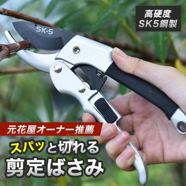 切れ味抜群 初心者でも握りやすい SK5鋼材 剪定ばさみ◆当店の剪定ばさみ・6つのおススメポイント1：手に馴染みフィット感が良く握りやすいデザインです。滑り止めハンドル付き。2：硬い物でもサクッと切れる素晴らしい切れ味3：最大20mm程度ま...