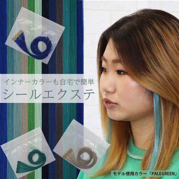 シール エクステンション 2本分1シート入り 原色エクステ 52cm　1シート入リ（2本分）ブルー系：BLUE、SKYBLUE、PALEBLUE、NAVY、NAVYBLUE、SBディープブルーグリーン系：GREEN、PALEGREEN、AT...