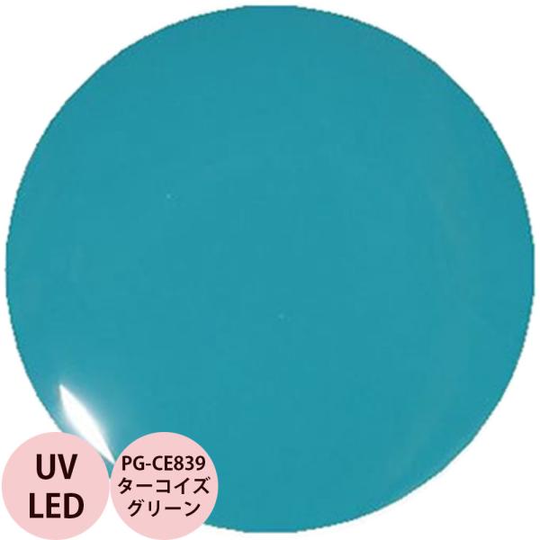 PREGEL プリジェル カラーEX ターコイズグリーン PG-CE839 カラージェル 貴方をもっと貴方らしくする純国産ソークオフジェル理想のネイルデザイン、スピーディーなサロンワーク、自爪にできるだけ負担をかけない安全性を追求しました。...