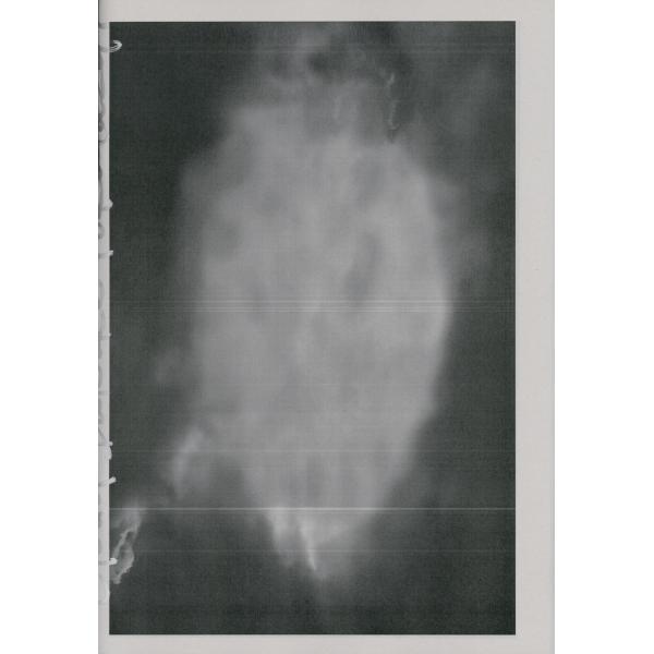 横田大輔（Daisuke Yokota）の作品集。出版者: Self Publishing出版年: 2017製本: Softcover判型: 297×210mm頁数: 124状態: 新品備考: サイン入り