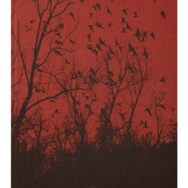 ヴァネッサ・ウィンシップ（Vanessa Winship）の作品集。2013年にMACKより刊行され、瞬く間に絶版となっていた本書が、2018年6月から9月にかけてバービカン・アート・ギャラリー（ロンドン）で開催される回顧展に伴いセカンドエ...