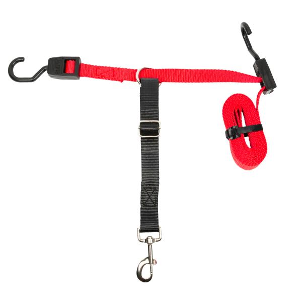 商品名: PupZIP Vehicle Zipline by Solvit PetSafe Happy Ride Dog Zipline - Back Seat Leash, Great for Travel Red, 1 Size - 7...