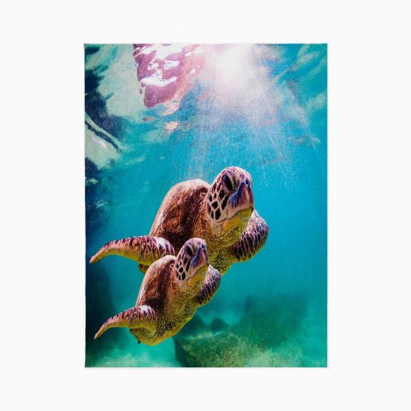 商品名:  WONDERTIFY Sea Turtle Pet Blanket Swimming Warm Waters Pacific Ocean Hawaii. Greenuper Soft Throw for Dog Puppy Ca...