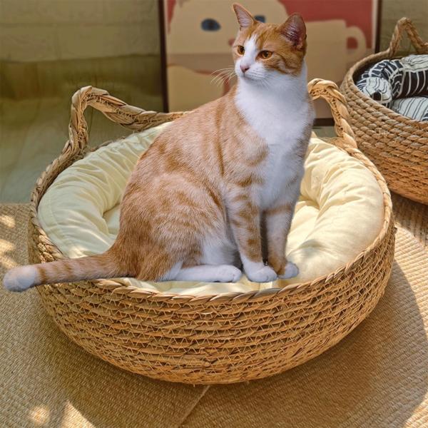 商品名:  NZLTQO Cat Dog Bed, Anti-Anxiety Calming Dog Bed, Warming Cozy Soft Round Pet Bed, Washable Storage Basket Handmad...
