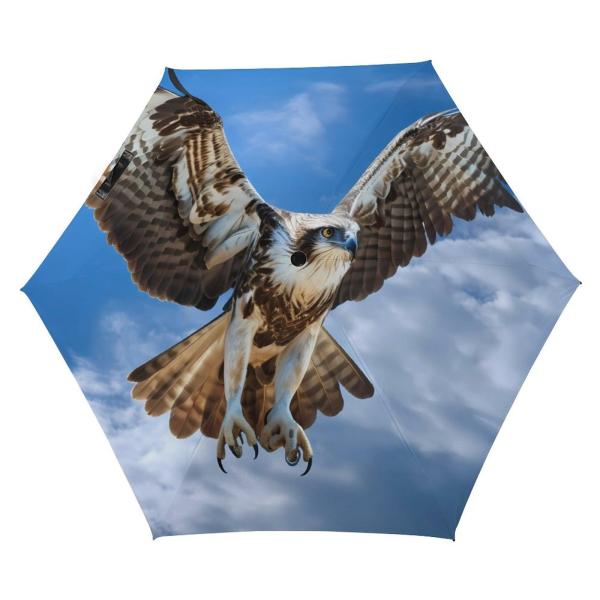 商品名:  Flying North USA Travel Umbrella for Rain Windproof 5 Folding Compact Umbrella Auto Open Closeブランド: Generic商品サイズ: ...