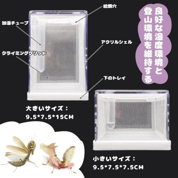 カマキリは脱皮するときに逆さまにぶら下がる習性があるため、這う必要があります。 孵化したばかりのカマキリを飼育し、脱皮して成長していく過程を体験できます。高精細な鑑賞体験：飼育箱は高精細なアクリル素材で作られており、前面にガーゼネットがない...