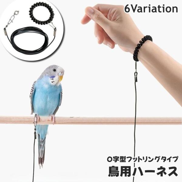 チェーンタイプの鳥用ハーネスです。お散歩や迷子防止用にぴったりのアイテムです♪2ｍ・3mの2タイプからお選びいただけます◎画像をご参照ください。合金他生産ロットにより柄の出方や色の濃淡が異なる場合がございます。お使いのモニターや撮影時の光の...
