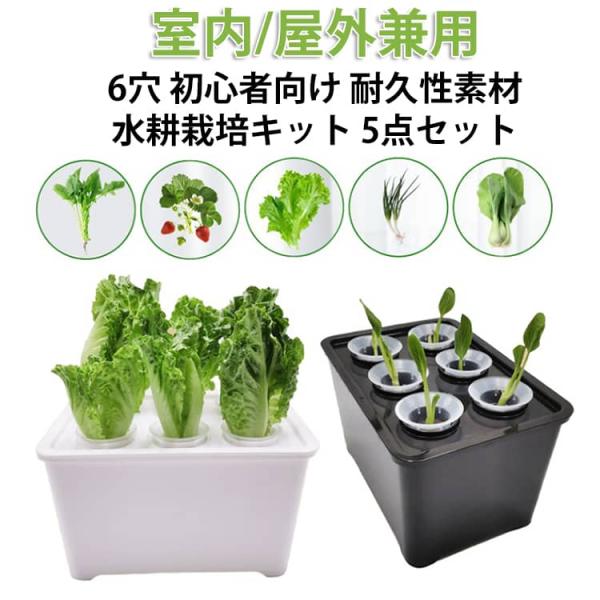 商品名:6穴 家庭菜園 無土壌栽培ボックス 野菜栽培セット 水耕栽培 【5点セット】 大型 プランター 種子栽培セット 自作 植木鉢 野菜 キット 栽培セット 観葉植物 苗 果物 ハーブ 花 【5点セット】 インテリア 菜園 栄養豊富 初心...