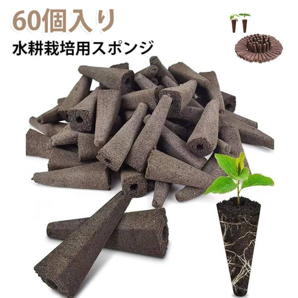 商品名:60個入り 有機 60個入り ウレタン培地 スポンジ培地 苗床 水耕栽培キット 種まき 水耕栽培用スポンジ ガーデン 植物育成 野菜栽培 室内                            商品説明:水耕栽培 キット 土を使...