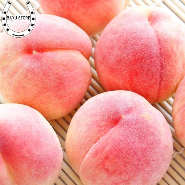 桃 1kg 訳あり お中元 2026 ギフト フルーツ ピーチ 果物大阪中央卸売場の果物のプロが仕入れした、新鮮で甘い桃です。山梨県産や長野県で採れた加納岩白桃、紅くにか、川中島白桃（品種はお選びいただけません）を3〜6玉でご用意いたしまし...