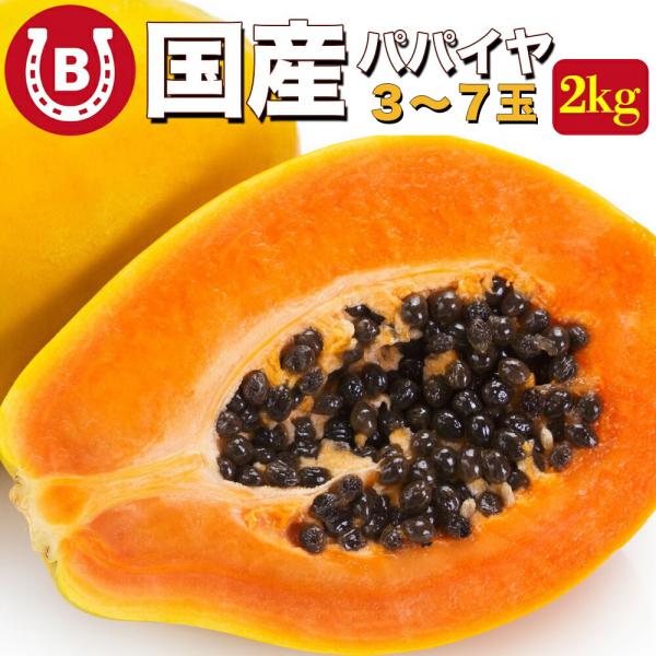 国産 パパイヤ トロピカルフルーツ 果物内容量：約2kg※箱の重さも含みます産地：国産備考：サンライズソロという品種の国産パパイヤです。パパイヤに弾力があれば食べ頃の合図です。