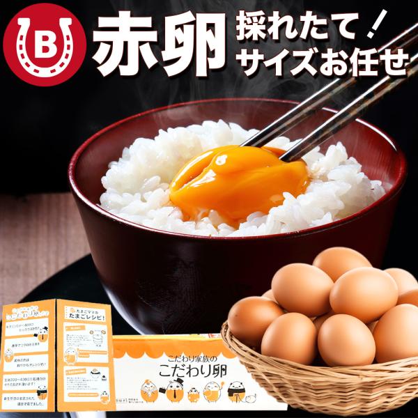 卵 赤卵 高級卵 こだわり家族のこだわり卵内容量：30個入りサイズ：おまかせ※恐れ入りますがサイズ指定はできかねます備考：・黄身は弾力があり、赤みがかった鮮やかなオレンジ色が特徴的です。ビタミンEが一般卵の30倍もあり、濃厚でコクのある味わ...