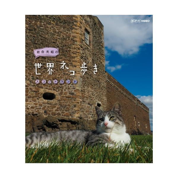 動物カメラマン・岩合光昭さんがかわいいネコたちをもとめて世界を歩きます。野生動物を追い求めて世界中を飛び回っている動物カメラマン・岩合光昭さん。40年来撮り続けてきたネコを、今回はムービーカメラを携えて本格的な動物撮影に挑みます！路地を這い...