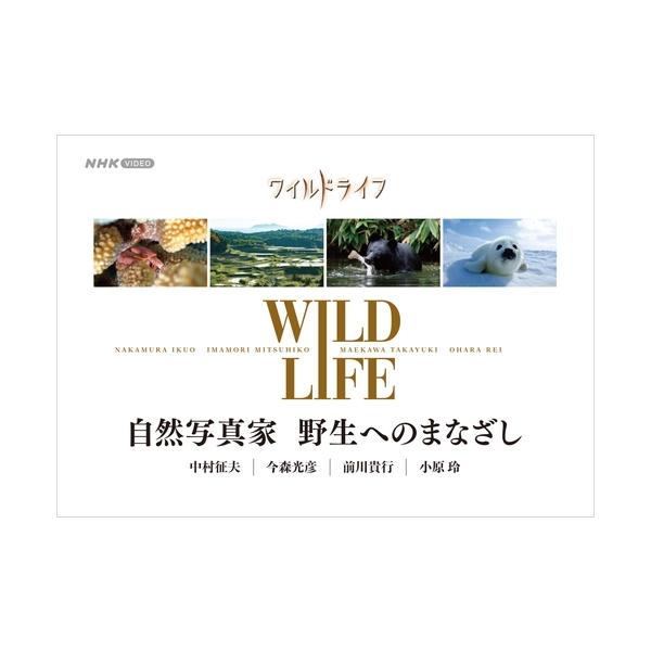 【発売日：2022年07月22日】ワイルドライフ 自然写真家 野生へのまなざし ブルーレイBOX 全4枚ポイント利用
