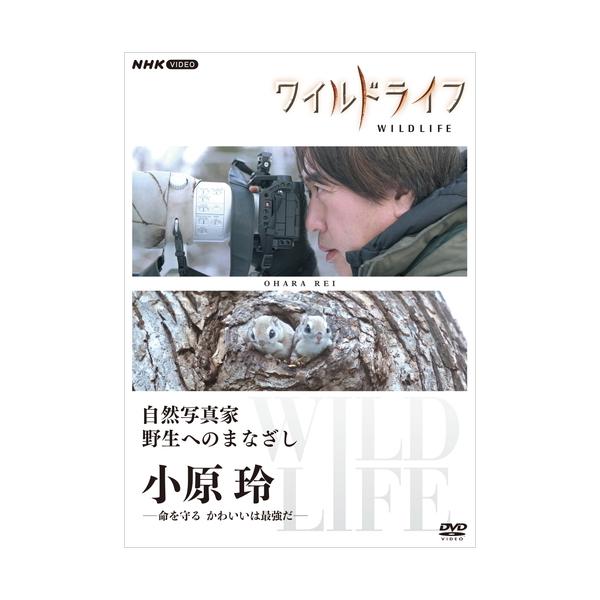 【発売日：2022年07月22日】ワイルドライフ 自然写真家 野生へのまなざし 小原玲 DVDポイント利用