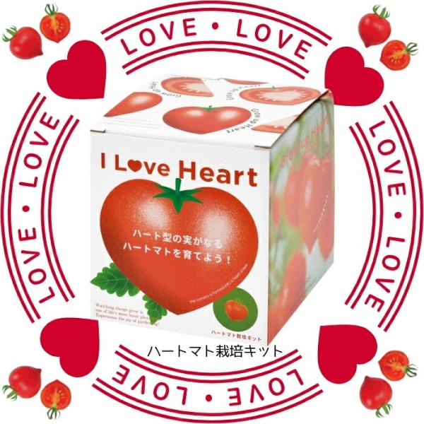 GD-1032 ハートマト栽培キットハートマトとはぷっくりしたかわいらしいハート型の実をつけるハートブレイカーというミニトマトの品種です。実の大きさは直径約2〜3cm。半分に割るとよりハート型がわかります。
